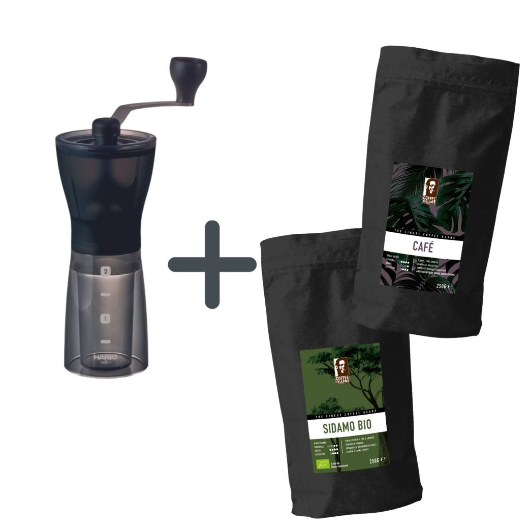 Hario Ceramic Mini-Slim plus + Filterkaffee-Set online kaufen | Coffee ...